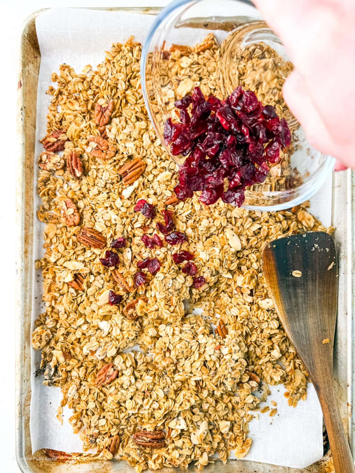Homemade Granola - Naturallie Plant-Based